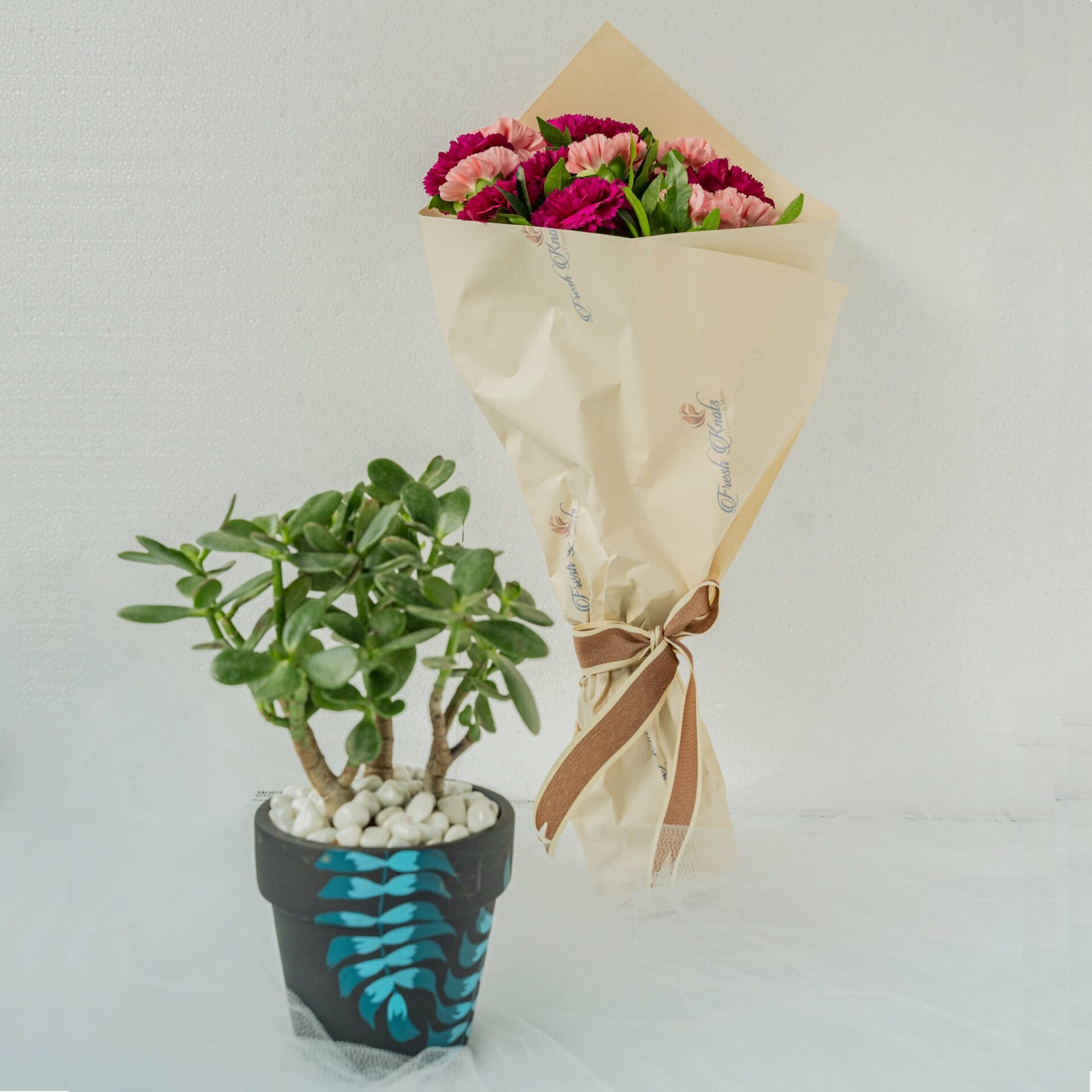 Combo: Carnations N Plant - Gifts with Flowers
