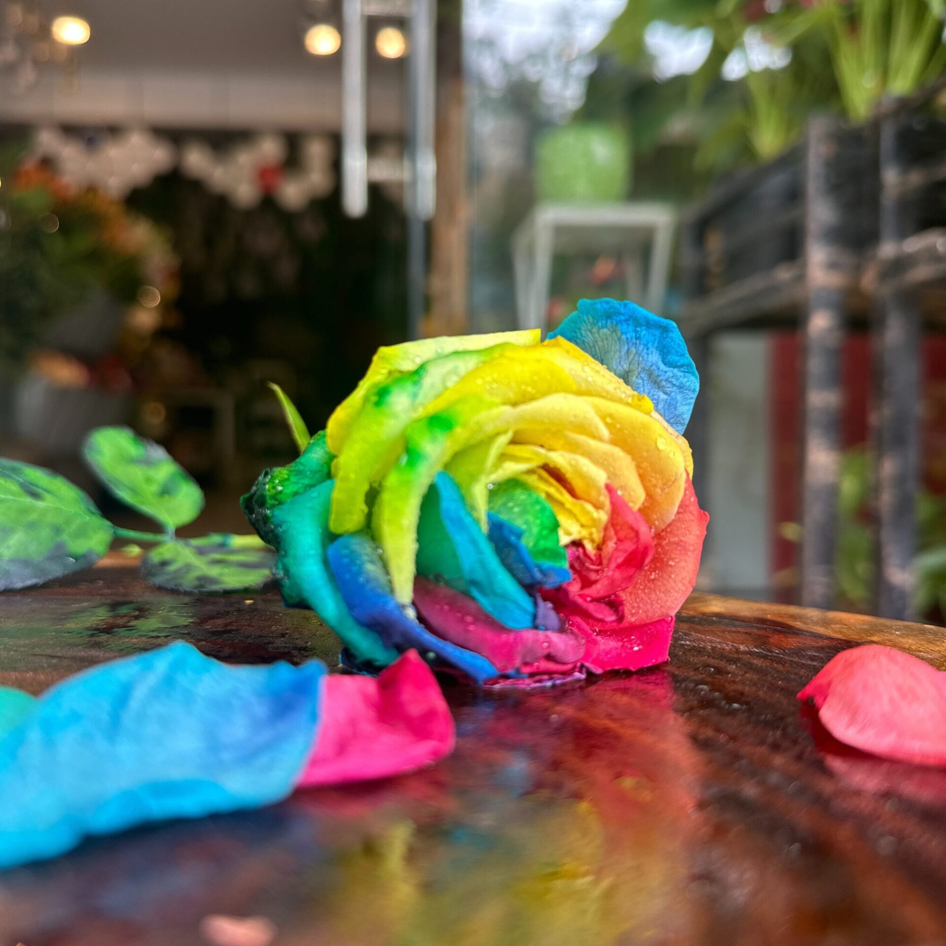 How To Grow Rainbow Roses Rainbow Roses (6 Roses (Half Dozen))